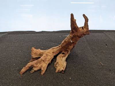 Aquarium Driftwood - Manzanita Wood, Sumatra Wood, Redmoor Wood ...
