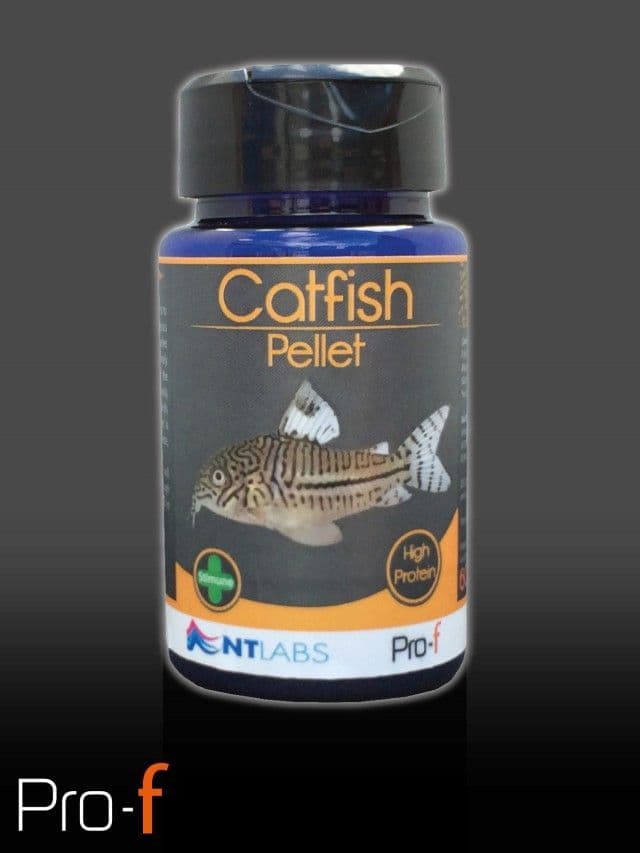 NT Labs Catfish Pellet 60g