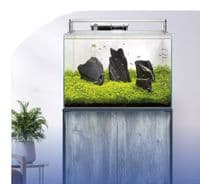 Superfish Scaper Design Cabinet 45 - 45x32cm Grey/Coco