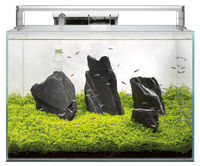 SuperFish Scaper Tank 90 - Full Aquarium Kit Opti White Glass