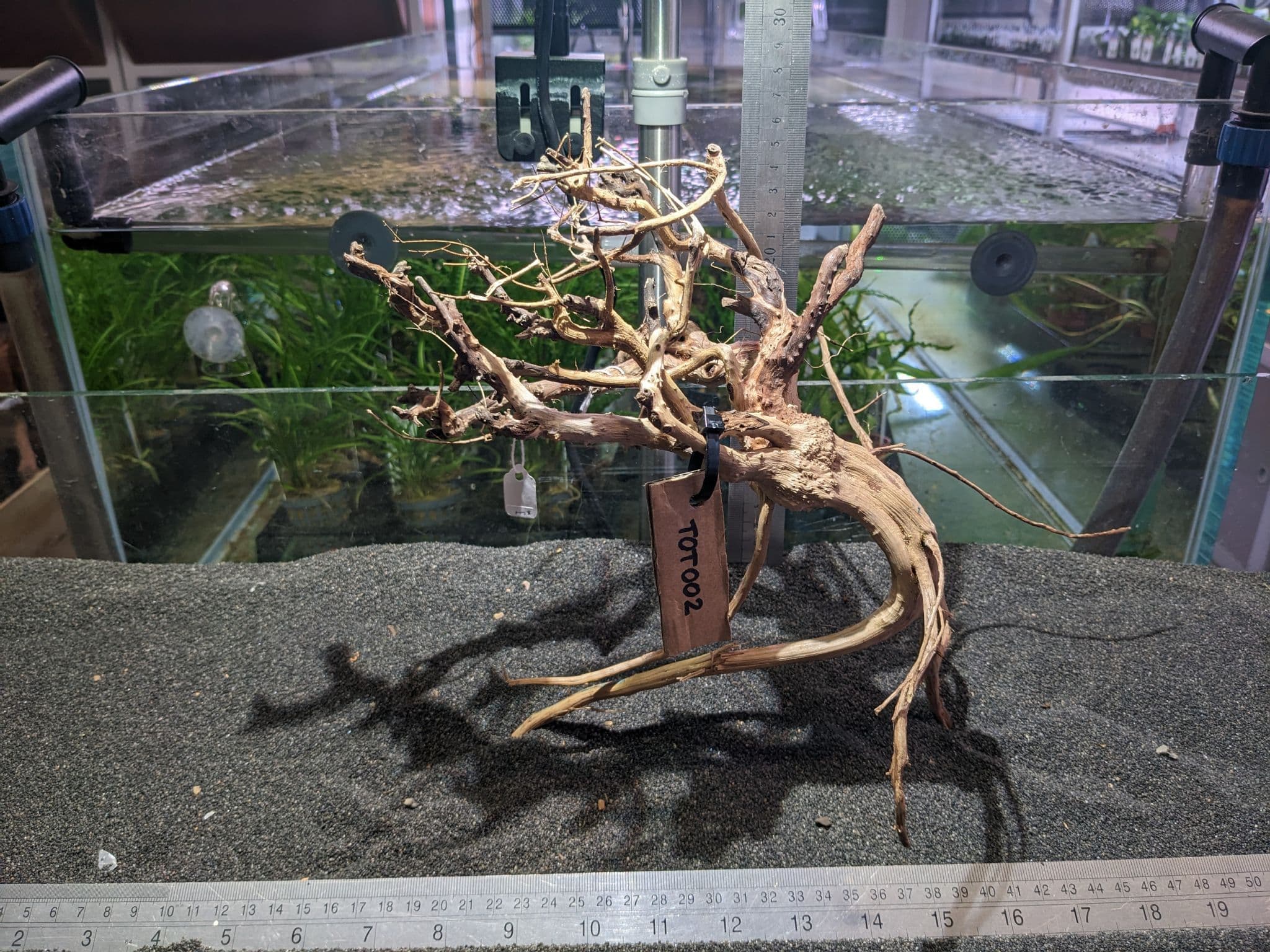 Totoro Wood 26x30cm - TOT002