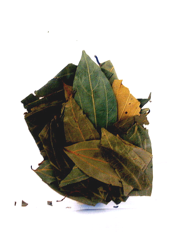 Indian Bay Leaves (Tej Patta Leaf) 10g | Buy Online at The Asian Cookshop