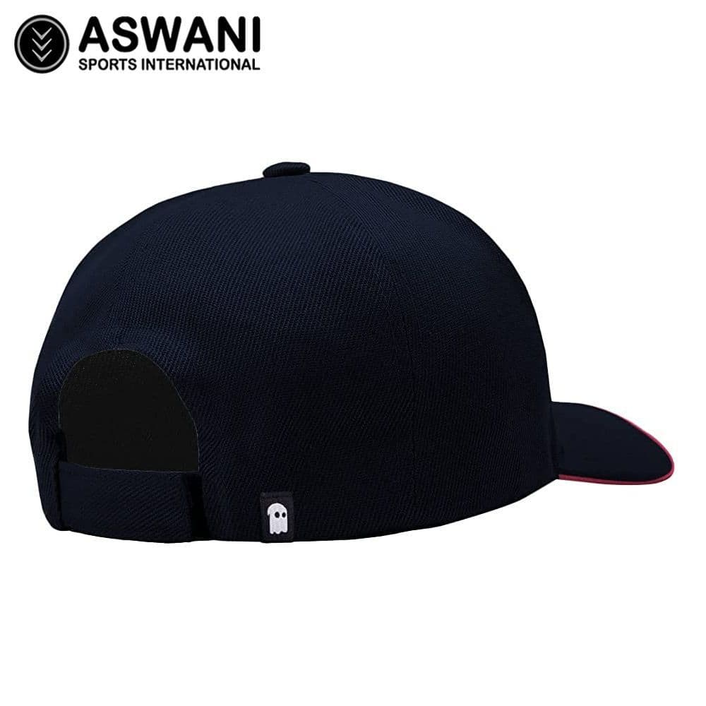 Rajasthan Royals Cricket Cap Fan Edition IPL