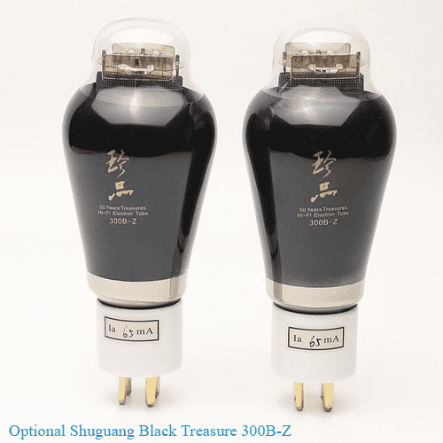 Cayin A-300B MK2 | Audio Emotion