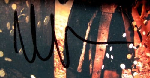 Martin Freeman Autograph Signed Photo Bilbo