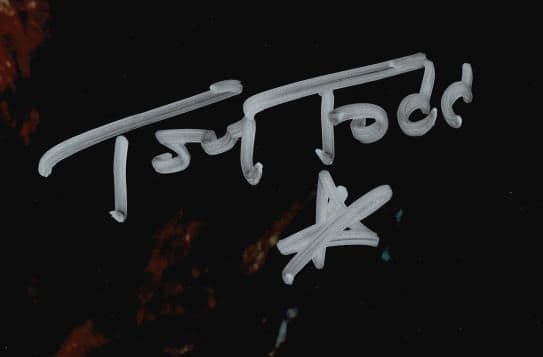 Tony Todd Autograph Signed Photo - Star Trek The Next Generation