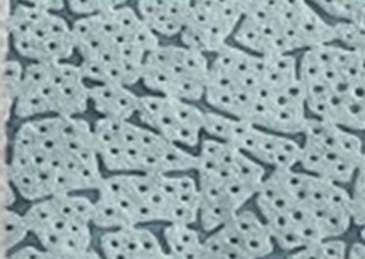 Starchem Crows Feet Panel Wipes Box