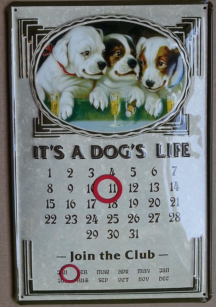 It s A Dog s Life everlasting steel calendar 300mm x 200mm