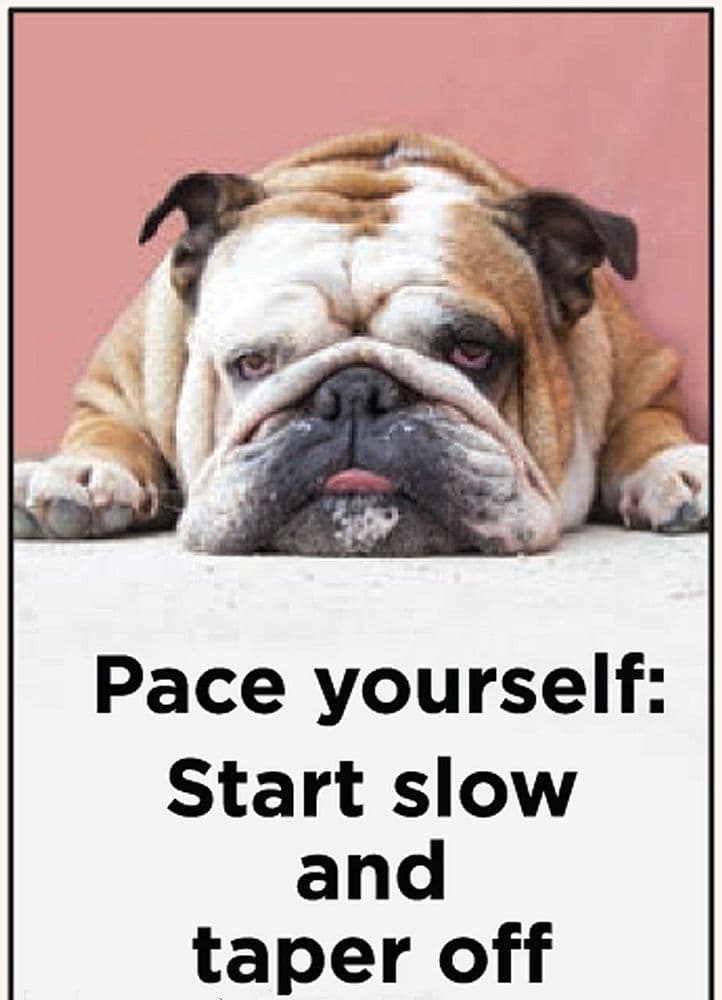 Pace Yourself Start Slow And Taper Off funny fridge magnet ep