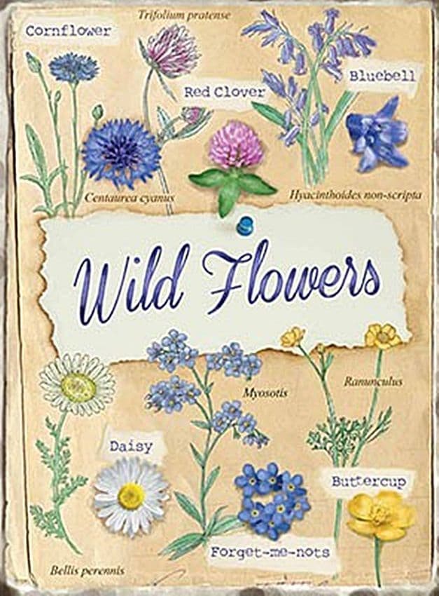 Wild Flowers small steel sign 200mm x 150mm og