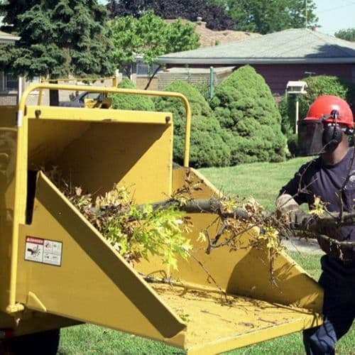 Avalon Assessments Ltd - Safe Use Of Manually Fed Wood Chipper (MFWO)