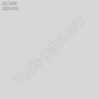 PPG Sigma SigmaTherm 230 20L