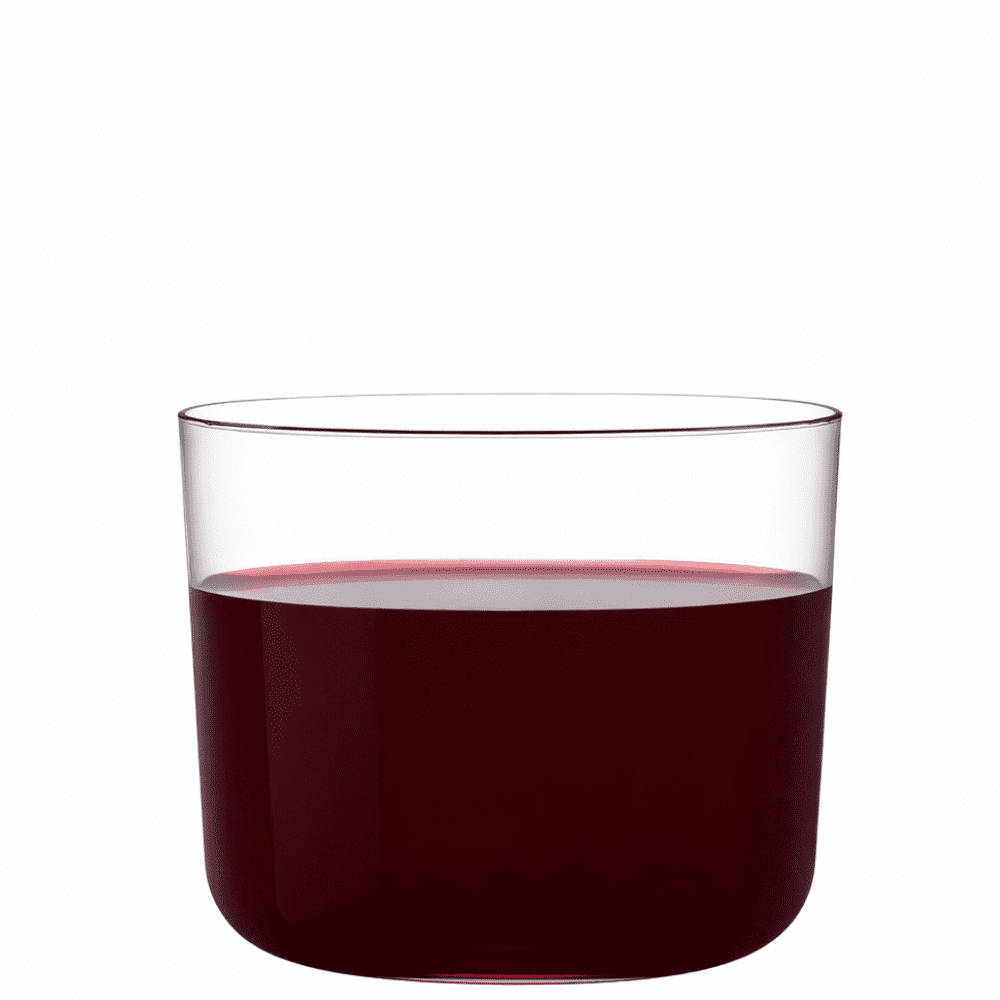 Spanish Small Stacking Bodega Wine Glasses SAN Plastic 230ml