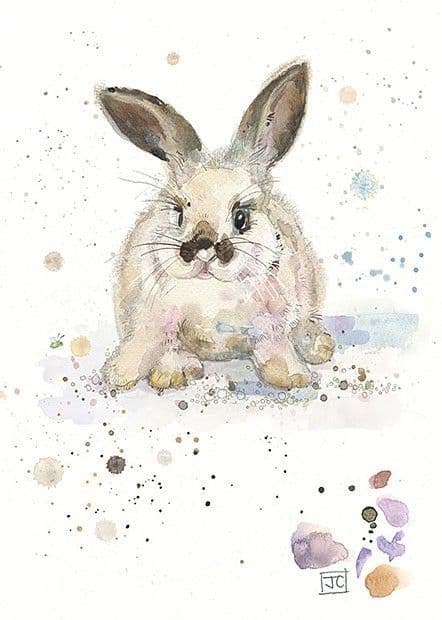 Baby White Rabbit Blank Greetings Card