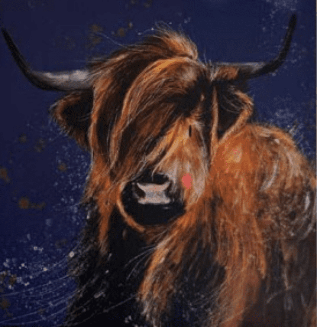 Highland Cow Any occasion greeting card