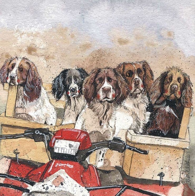 Working Spaniels Any occasion greeting card