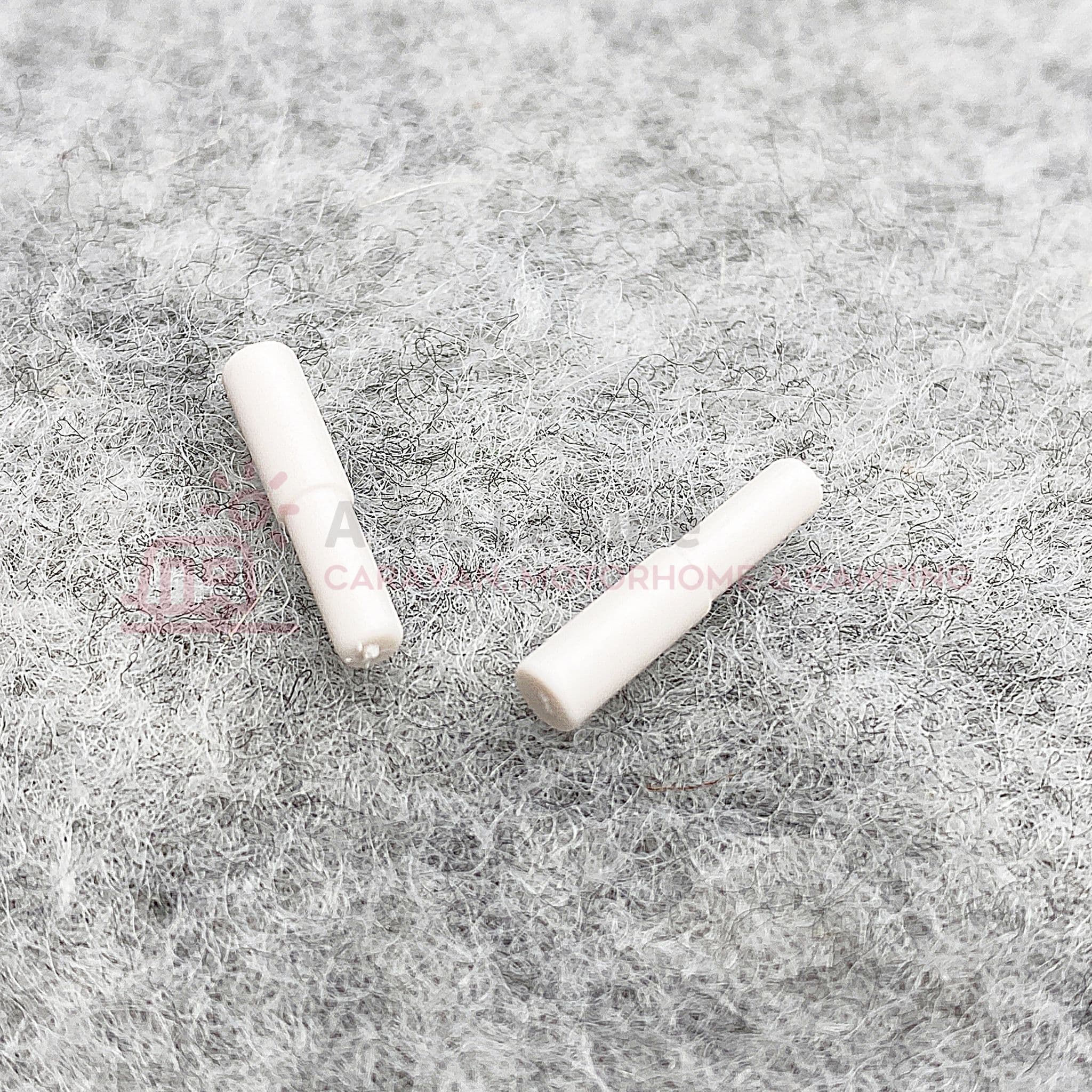 Truma Carver Water Pump Inlet Flap Lid Hinge Pins Caravan Filtapac ...