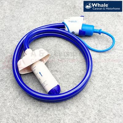 Whale