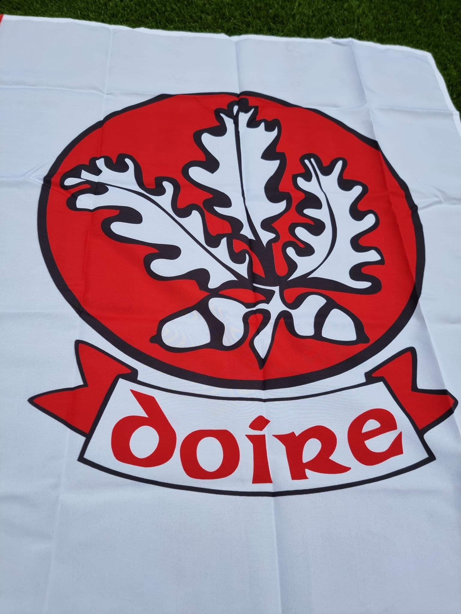 Derry GAA Flag