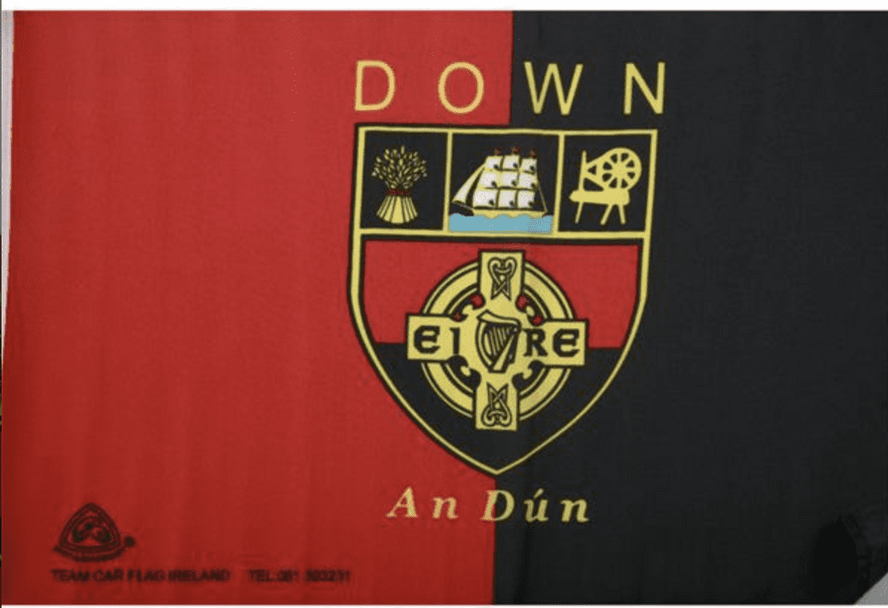 Down GAA Flag 12 x18 with stick
