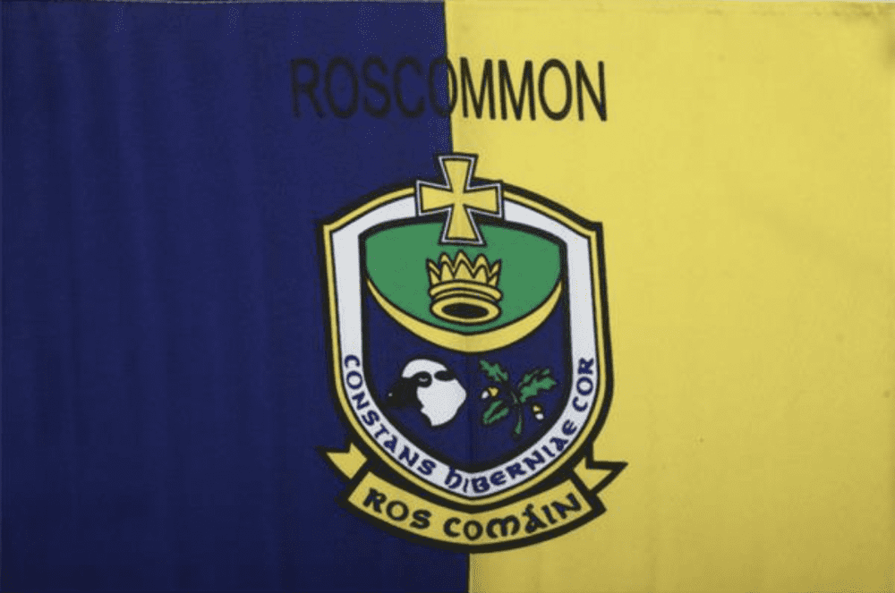 Roscommon GAA Flag 18 x 12 with stick