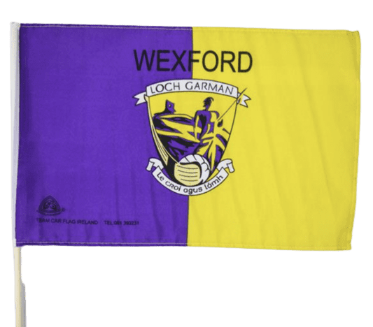 Wexford GAA Flag 18 x 12 with stick