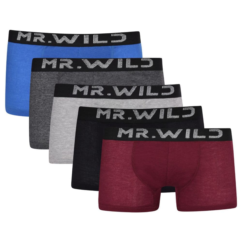 Mr Wild Men Boxe