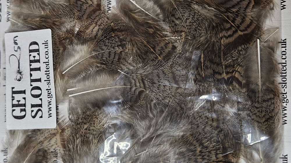 Grey Partridge Brown Back Feathers
