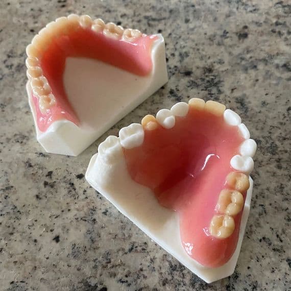 Teaching Denture Model - Full lower