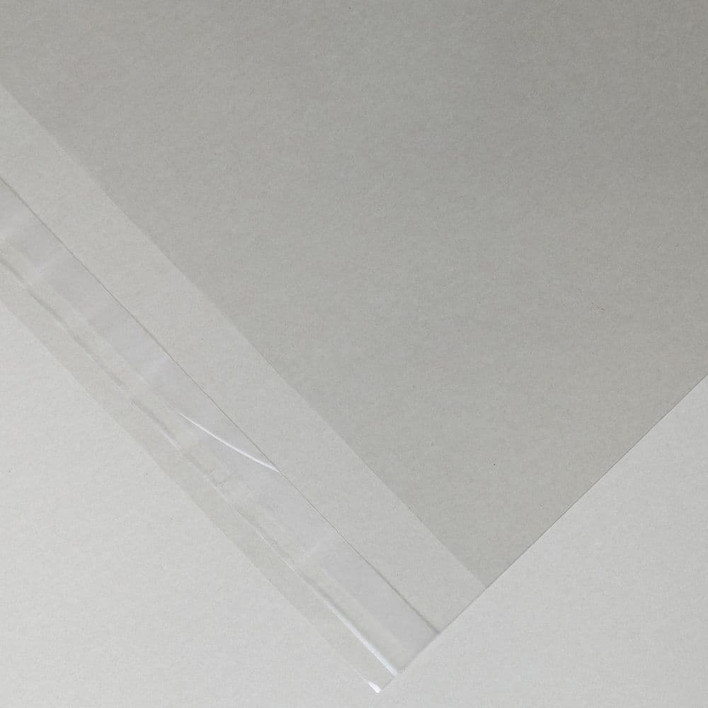 Clear Picture Mount Bags | Cellophane Bags