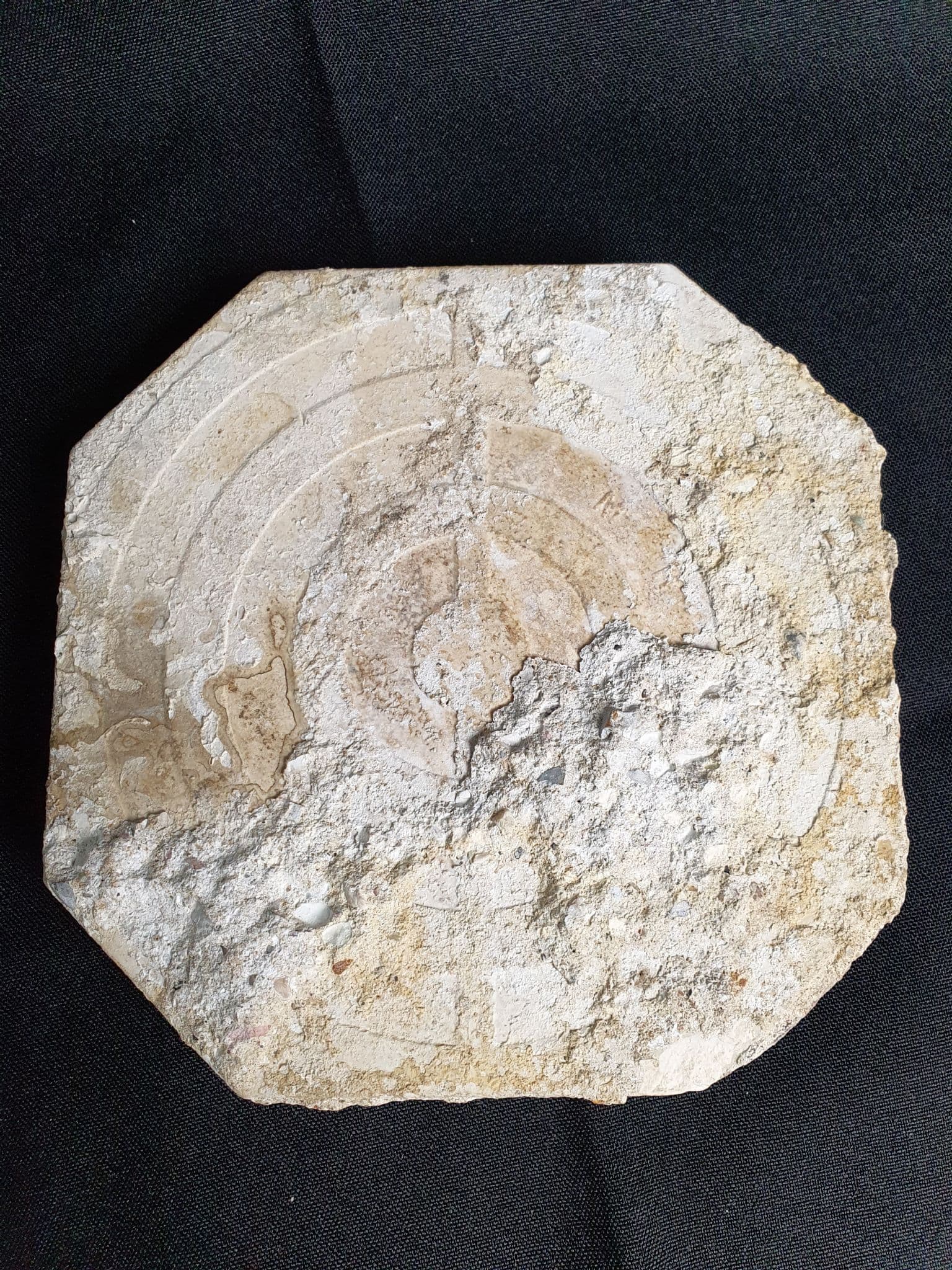 RMS OLYMPIC 1ST CLASS TOILETS BATHROOM FLOOR TILE