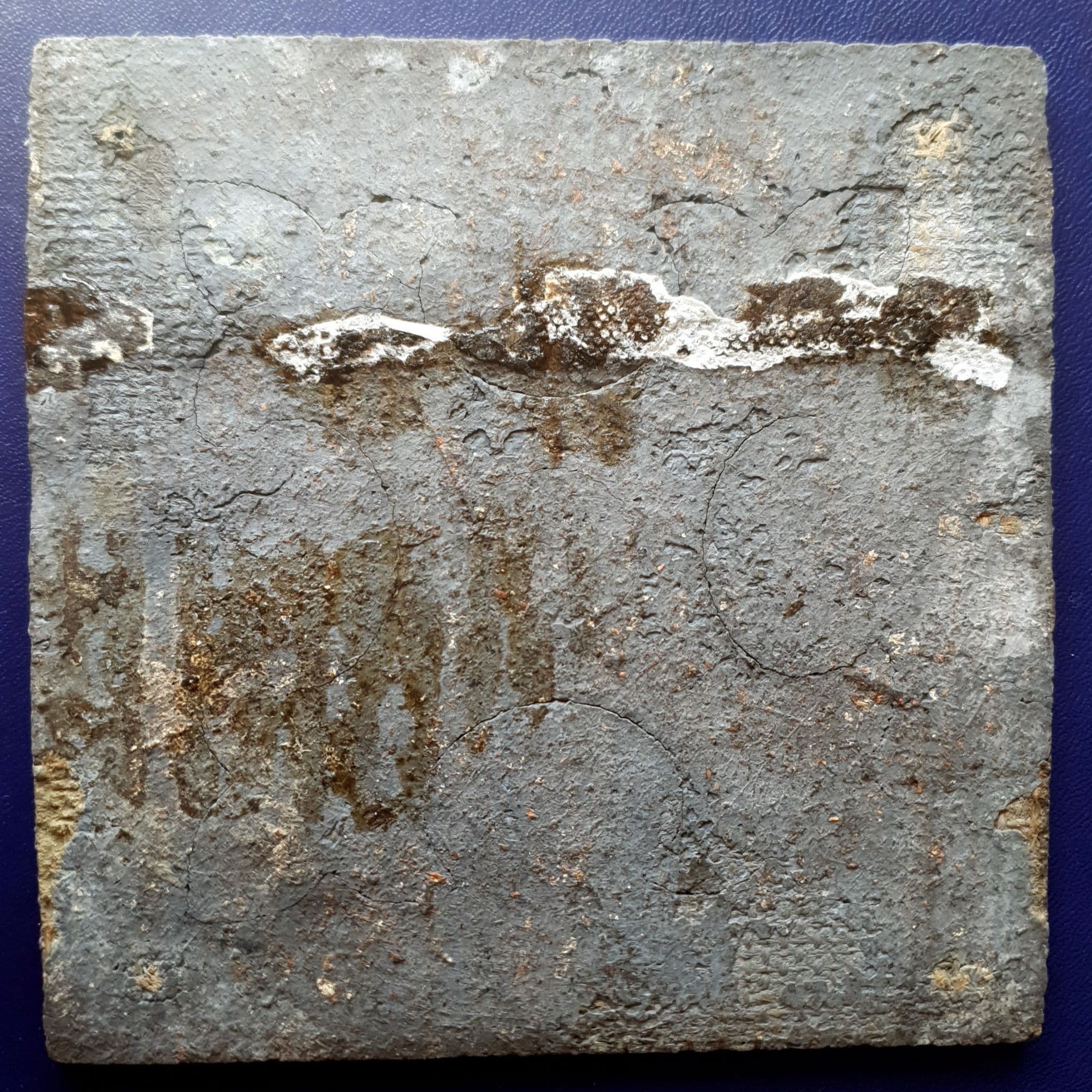 RMS Olympic Linoleum Floor Tile