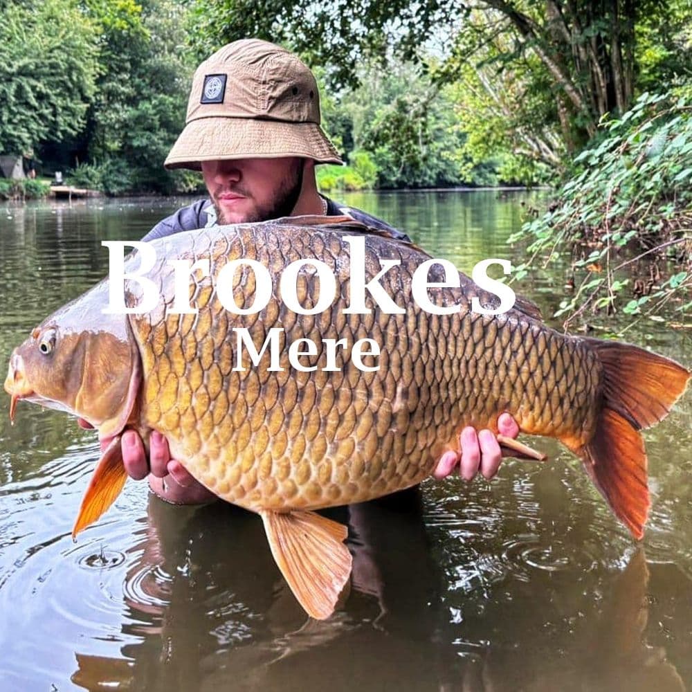 Welcome Brookes Mere