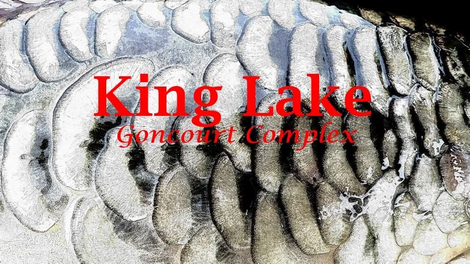 King Lake Catch Report