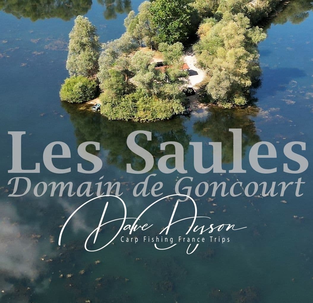 Les Saules Catch Reports