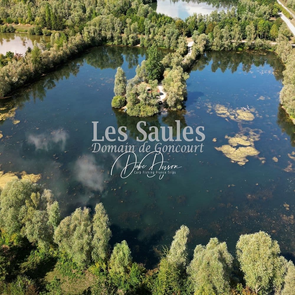 Les Saules 28/06/25