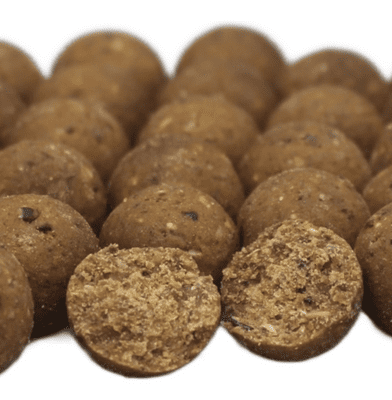 Carp Fishing France Trips