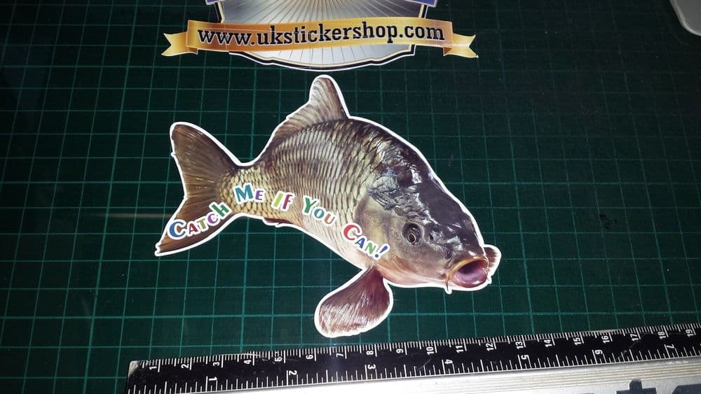 Carp Fishing Sticker catch me if you can Bait Angling Crafty Hunter Coarse