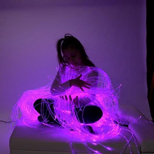 Sensory Fibre Optic Twinkle Light Source 45W & 200 x 3mtr Optic Tails With Remote
