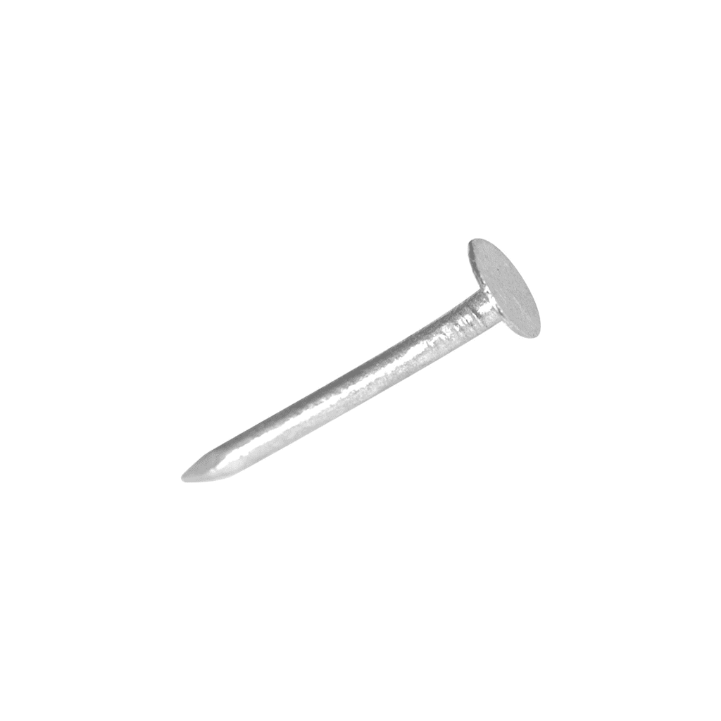 1KG Galv clout nail 25X2 65