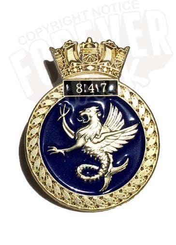 847NAS lapel pin