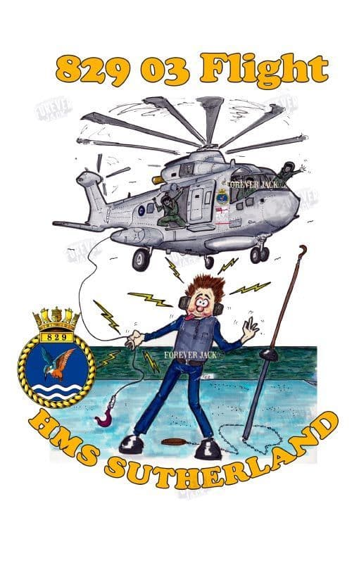 Flight Cartoon Merlin