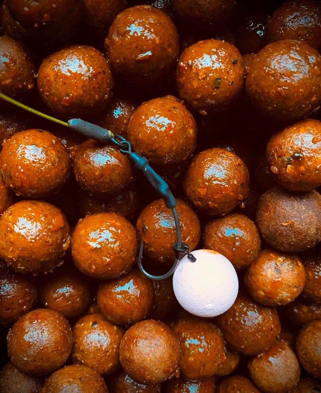 Carp Fishing Tackle Specialists | Bank Tackle