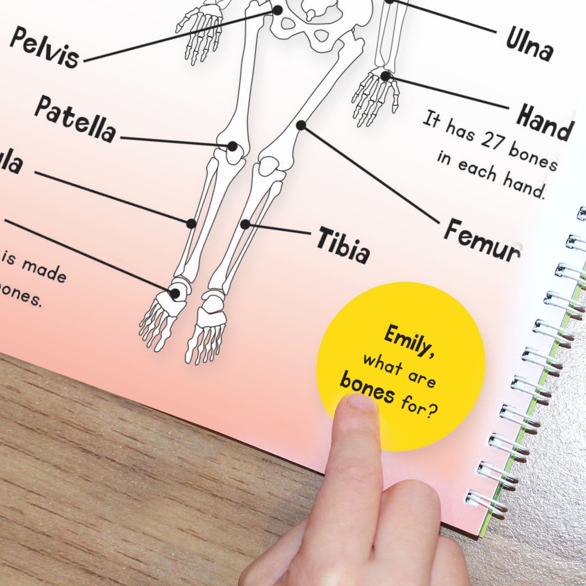 Personalised Children s Encyclopedia