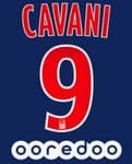 French LIGUE 1 Player Name Number Set