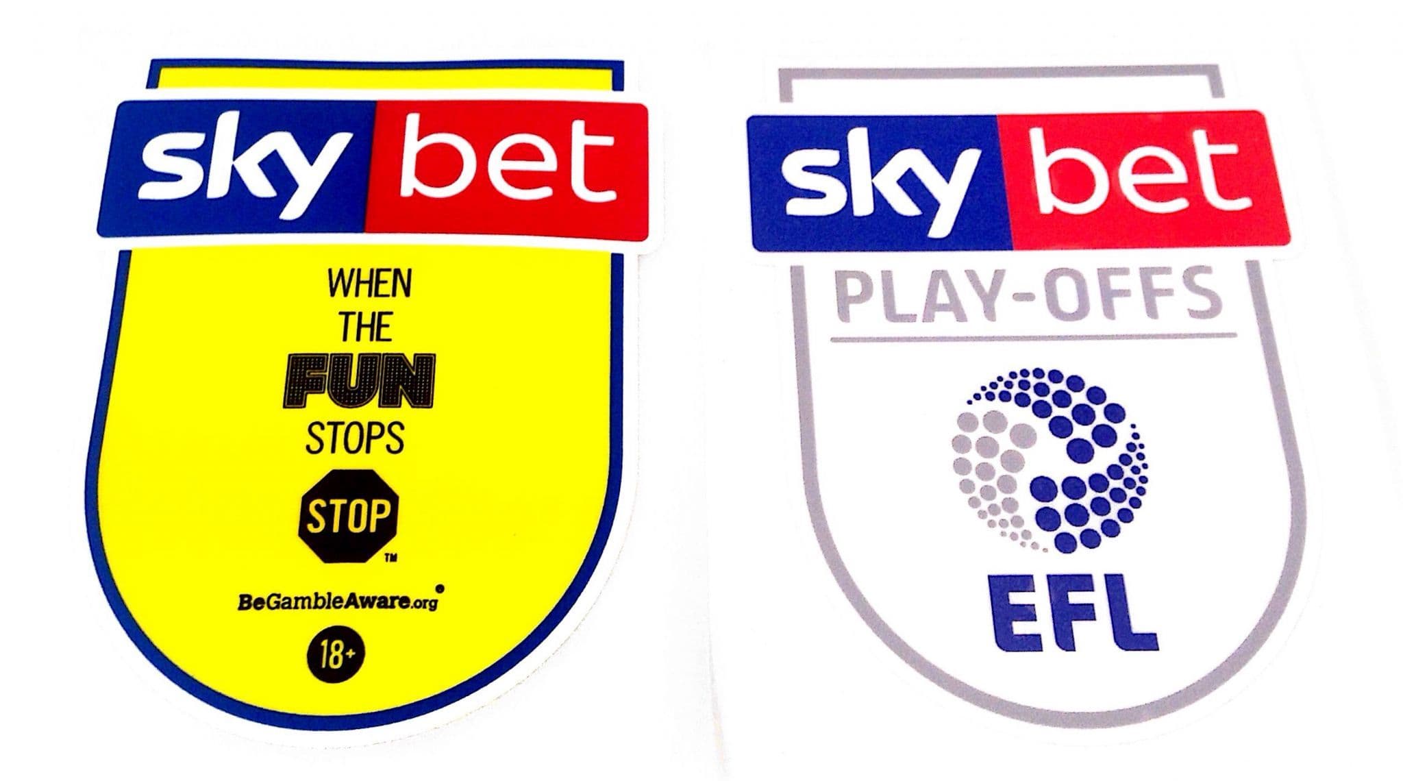 2019 & 2020 Sky Bet EFL League One Play-Offs Official Player Issue Size ...