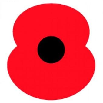 2021-22/23 English Football RBL POPPY Official Player Issue Size ...