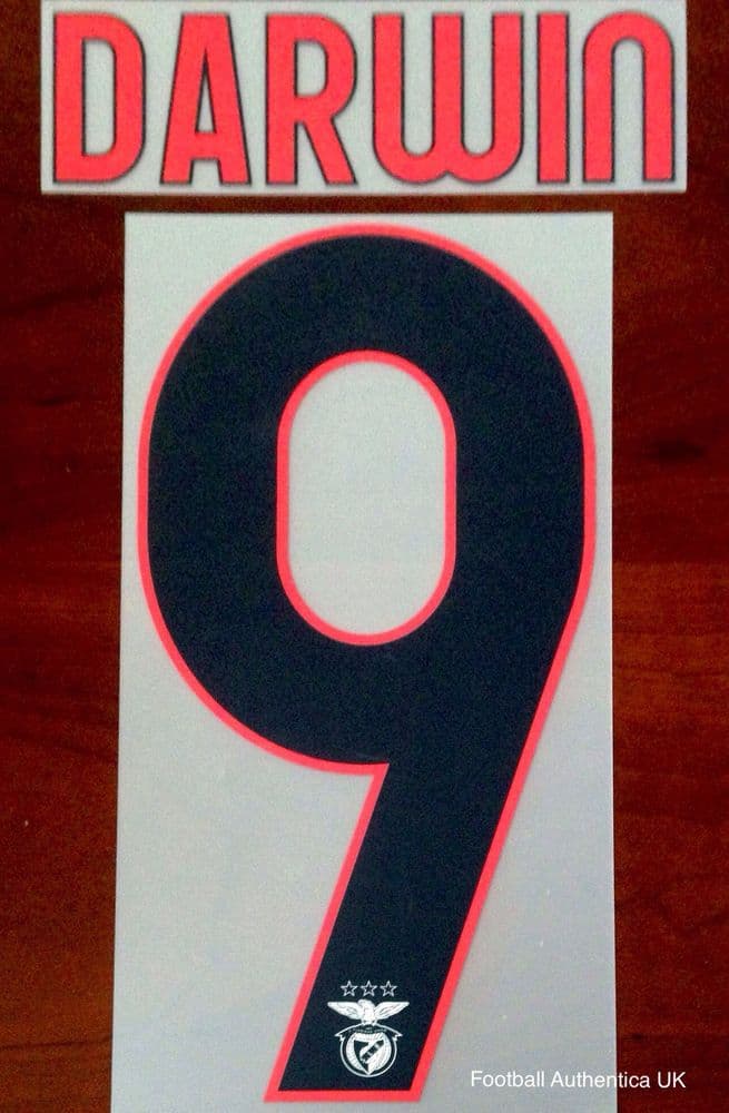 2021-22 Benfica UCL Away Shirt DARWIN 9 Official Player Issue Size Name ...