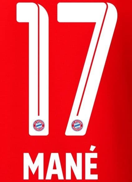 2022-23 Bayern Munich Home Shirt MANE 17 Official Avery Dennison Name ...