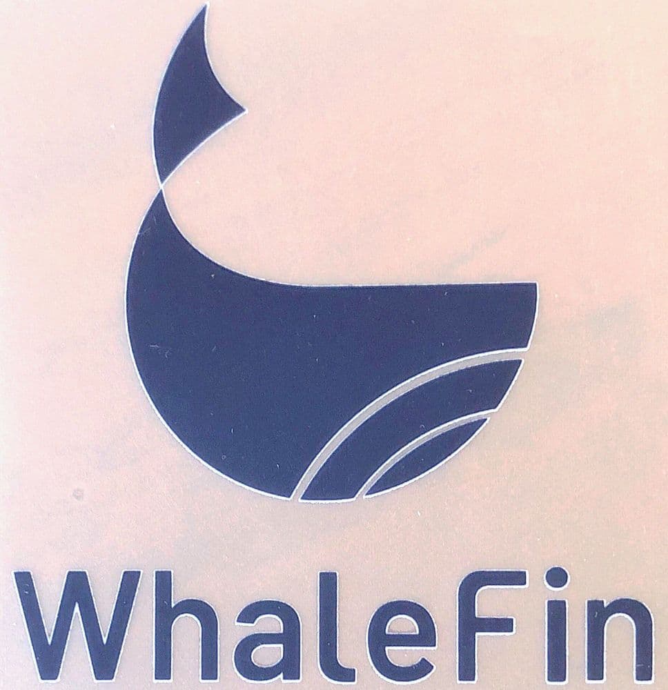 2022-23 Chelsea WHALEFIN Away Shirt Official Player Issue Size Arm ...